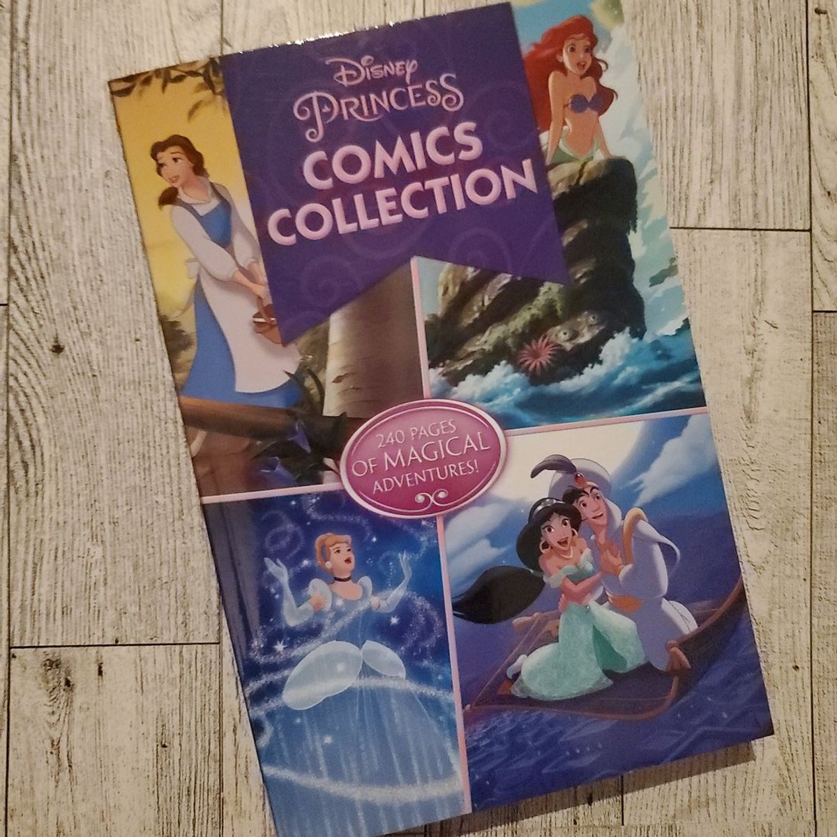 Disney Princess Comic Strips Collection: Something to Sing About by Disney