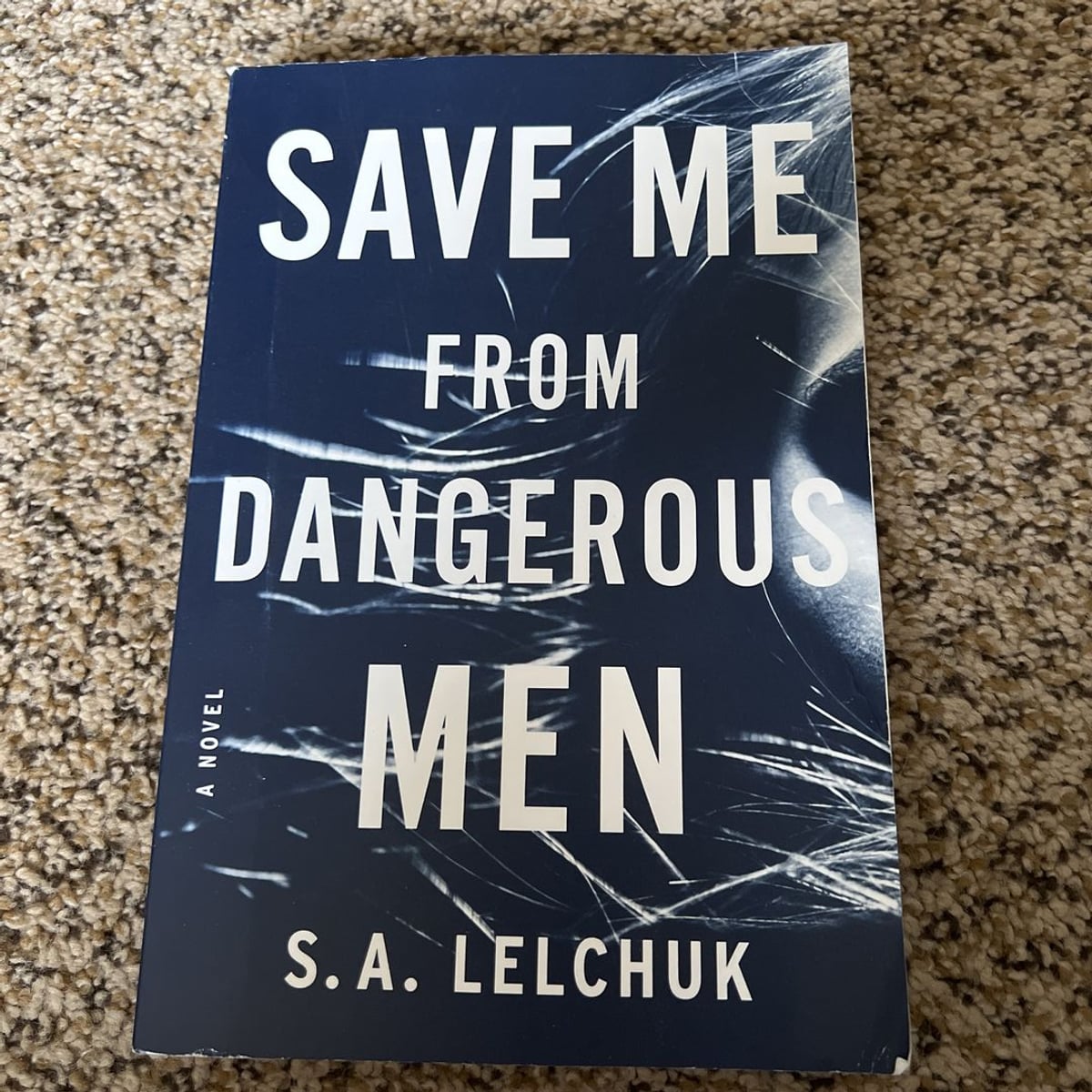 Save Me from Dangerous Men by S. A. Lelchuk