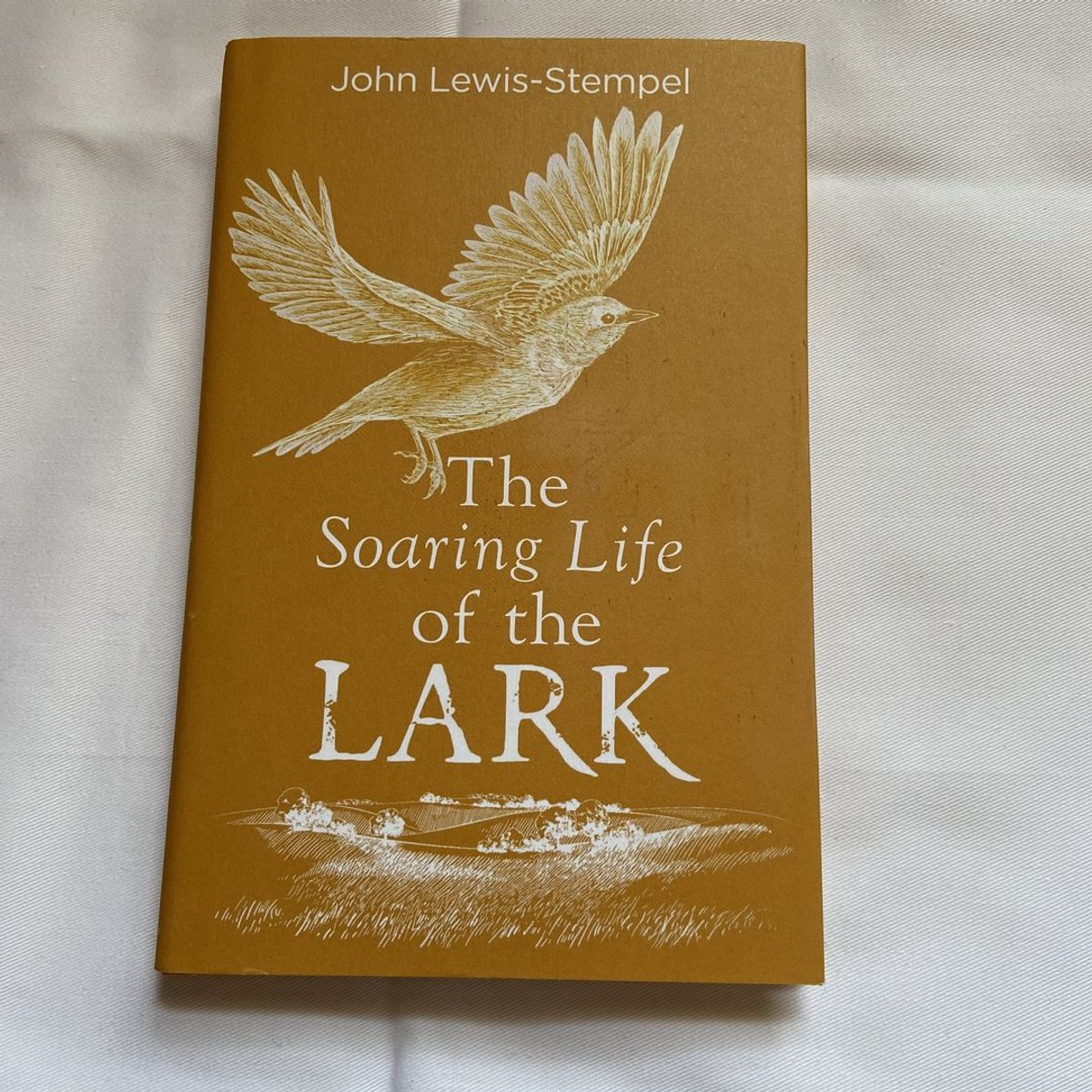 The Soaring Life of the Lark by John Lewis-Stempel