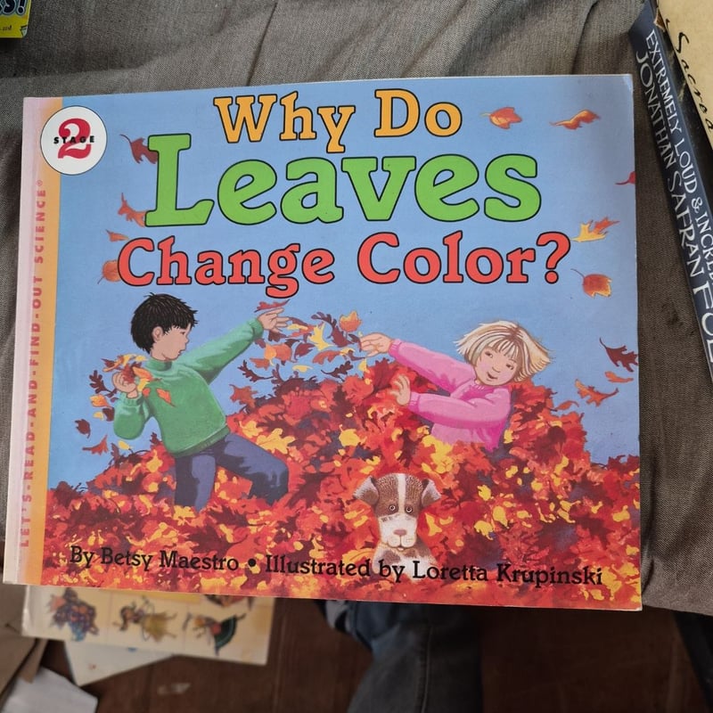 Why Do Leaves Change Color? by Betsy Maestro