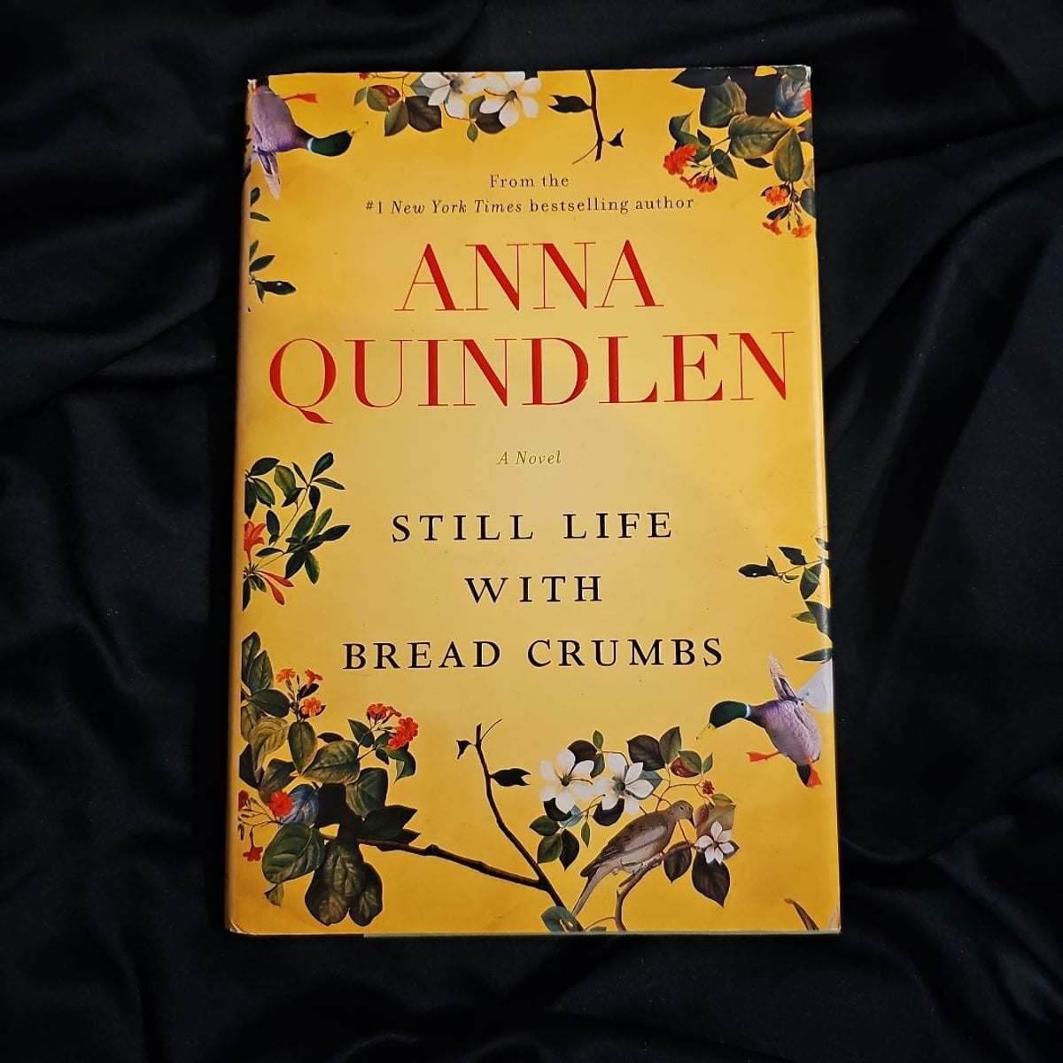 Still Life with Bread Crumbs by Anna Quindlen