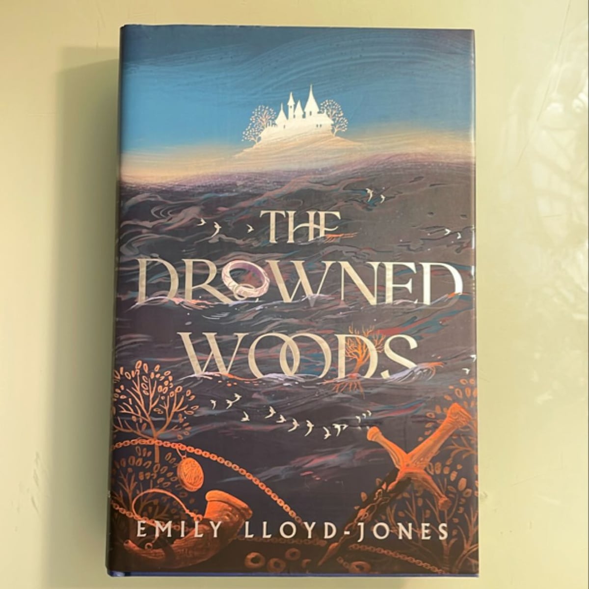 The Drowned Woods by Emily Lloyd - Jones , Hardcover | Pangobooks
