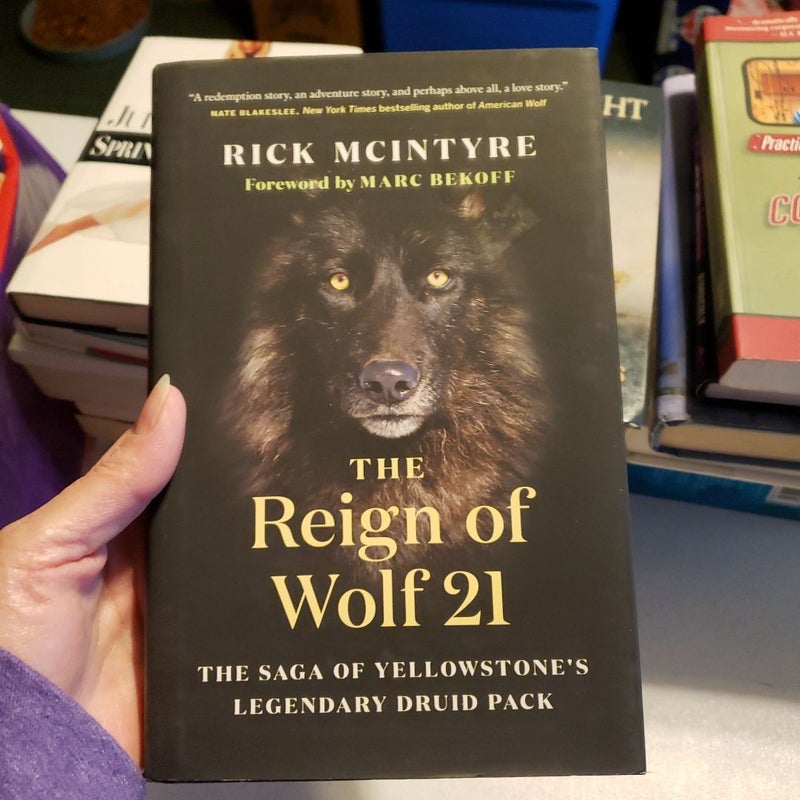 The Reign of Wolf 21 by Rick McIntyre, Marc Bekoff