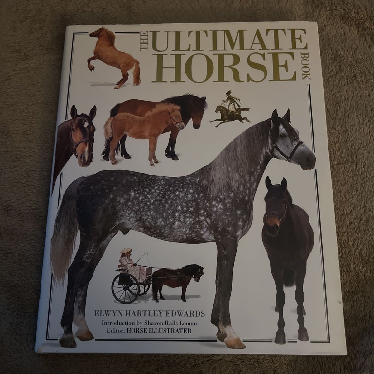 The Ultimate Horse Book by Elwyn Hartley Edwards, Sharon Ralls Lemon