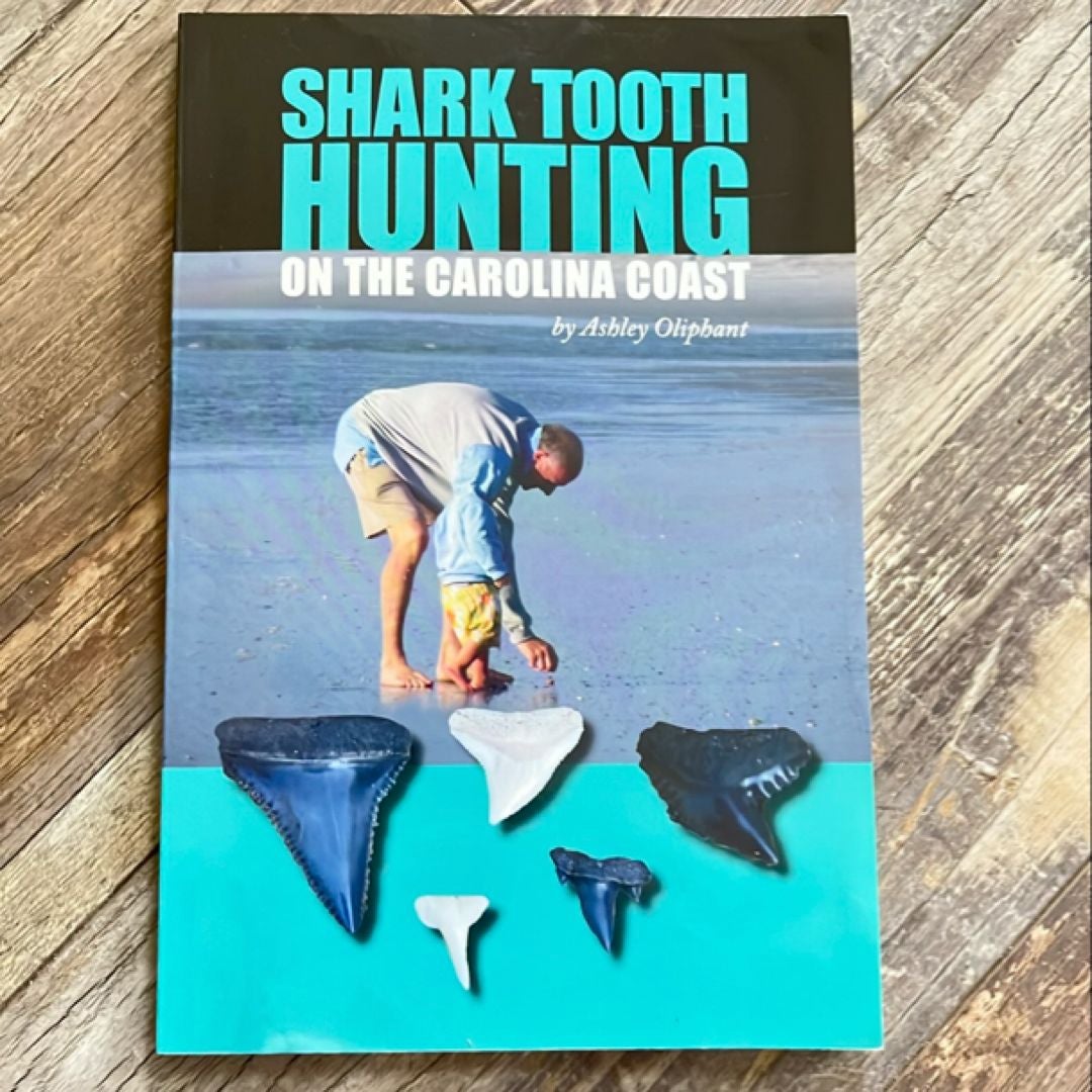 Shark Tooth Hunting on the Carolina Coast by Ashley Oliphant