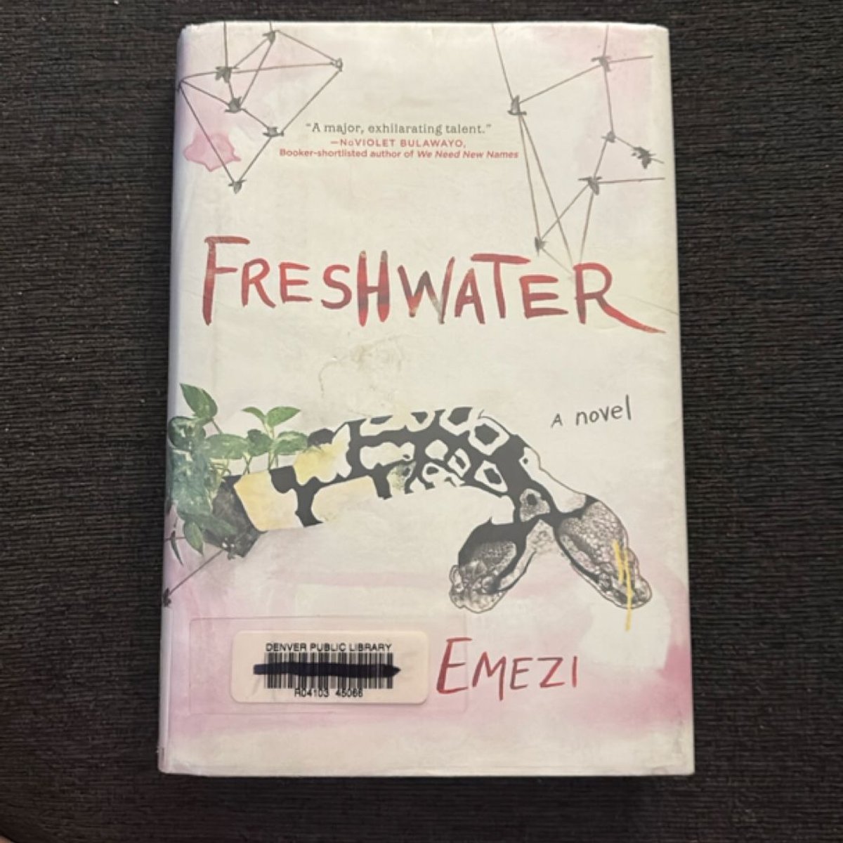 Freshwater by Akwaeke Emezi