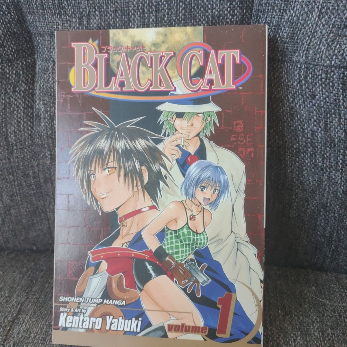 Black Cat, Vol. 1 by Kentaro Yabuki