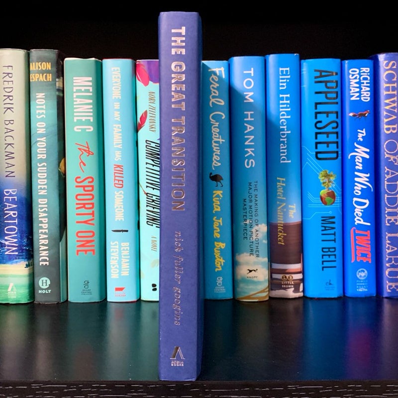 The Great Transition by Nick Fuller Googins, Hardcover | Pangobooks