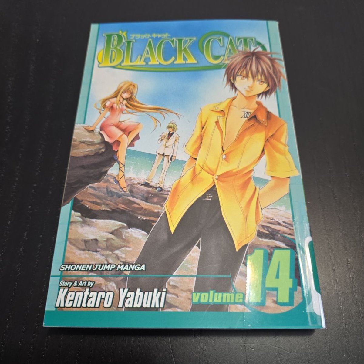 Black Cat, Vol. 14 by Kentaro Yabuki