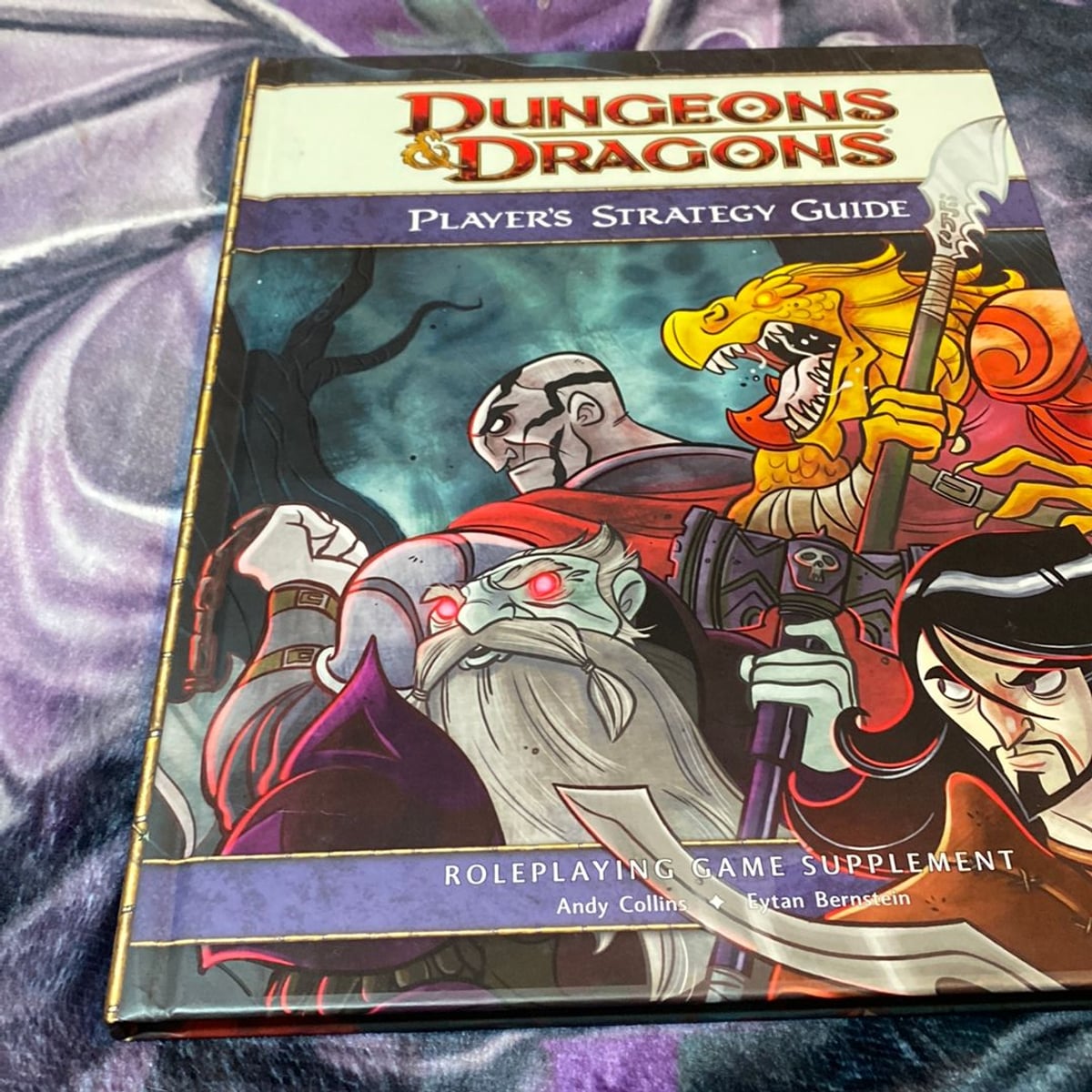 Dungeons and Dragons Player's Strategy Guide by Mike Mearls, James Wyatt