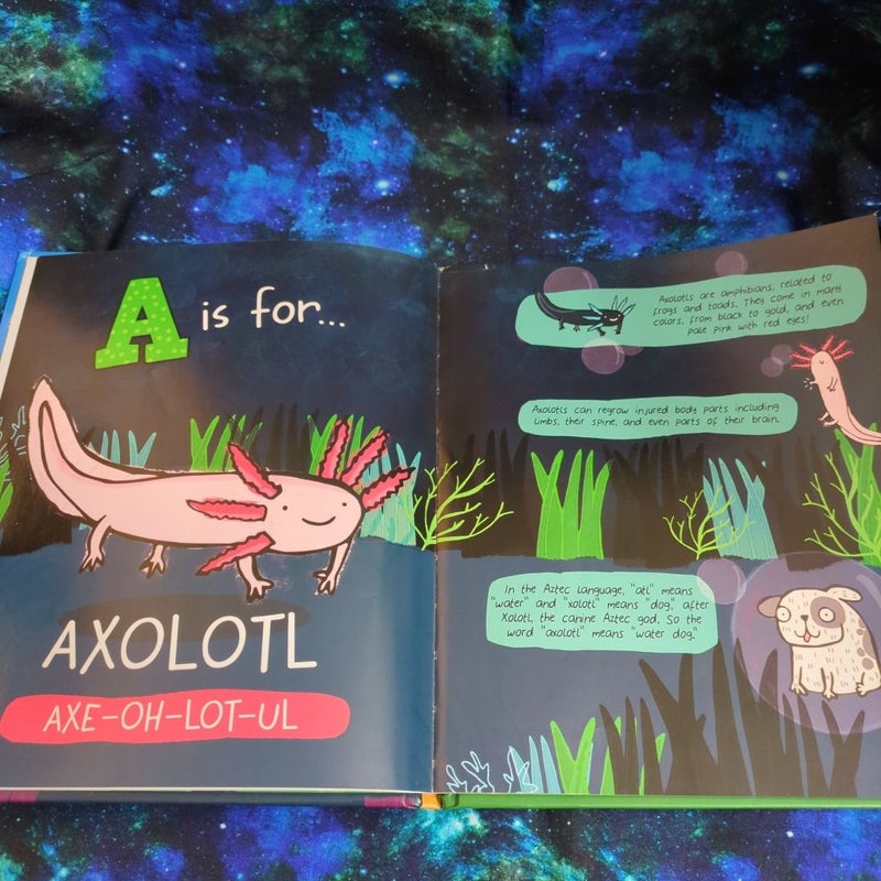 The Alphabet of Peculiar Creatures by Katie Abey