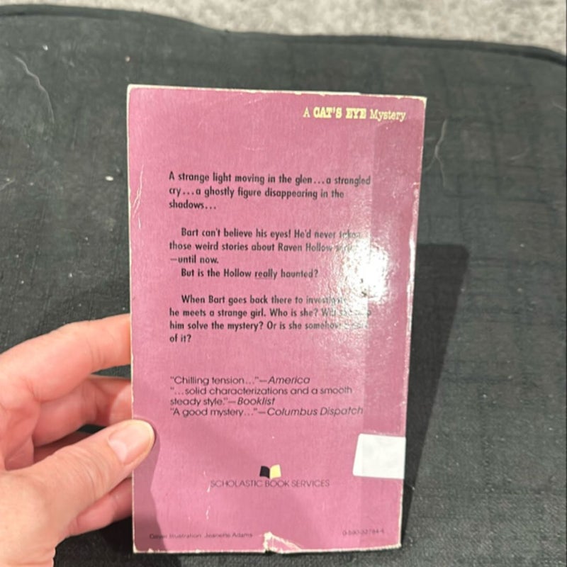 The Riddle of Raven Hollow by Mary Francis Shura, Paperback | Pangobooks