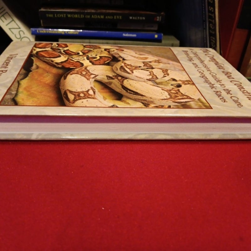 Complete Boa Constrictor by Vincent Russo, Hardcover | Pangobooks