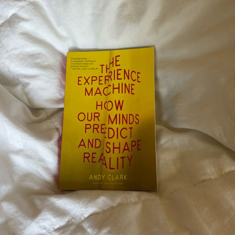 The Experience Machine by Andy Clark