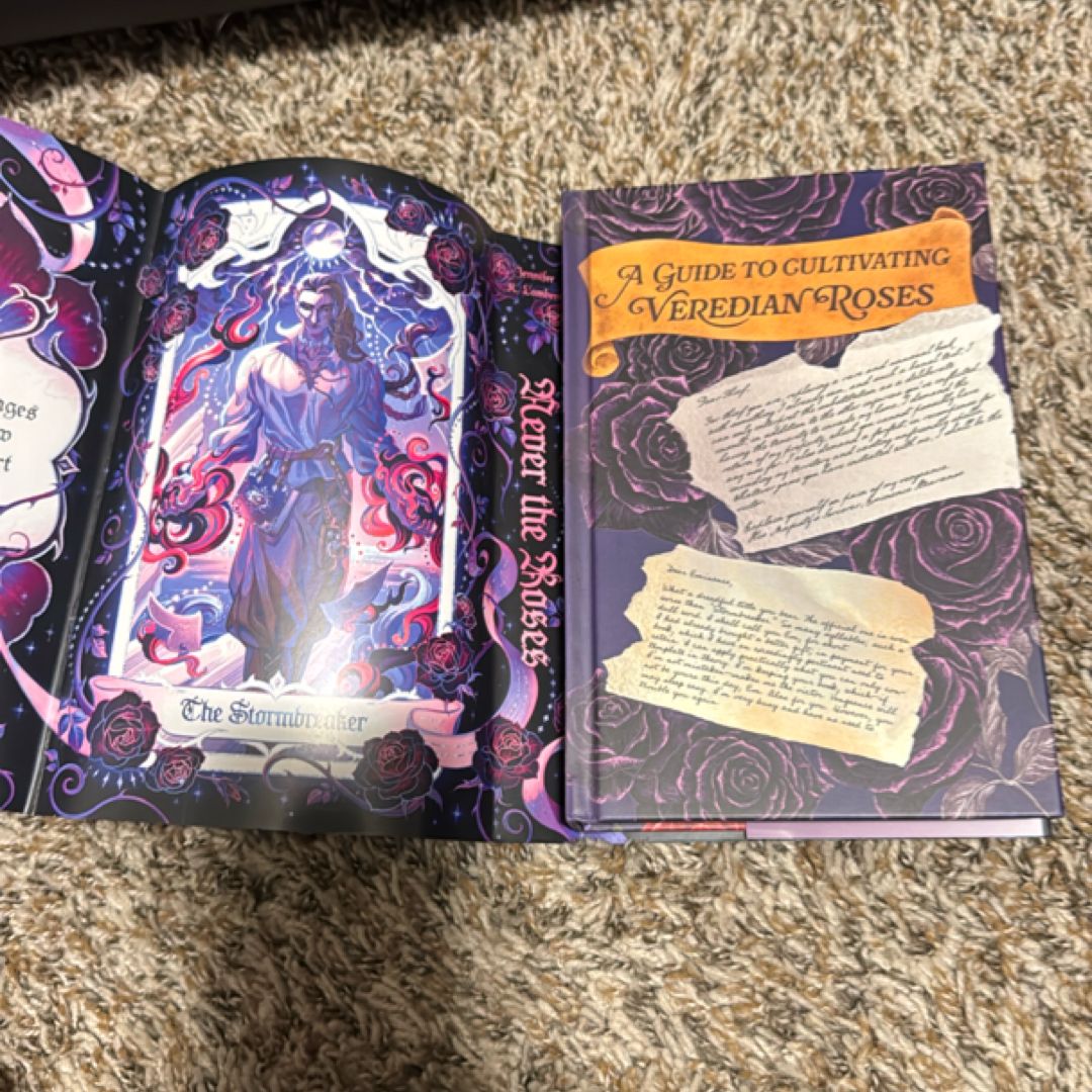 Never The Rises by Jennifer K. Lambert, Hardcover | Pangobooks