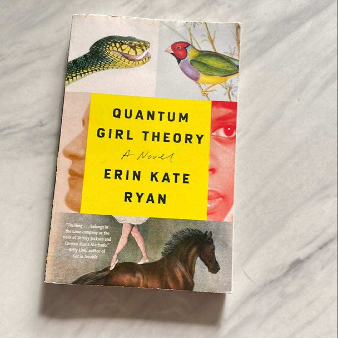 Quantum Girl Theory by Erin Kate Ryan