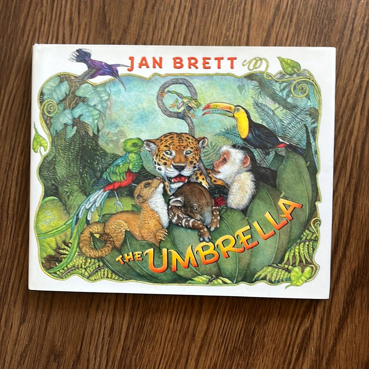 The Umbrella by Jan Brett