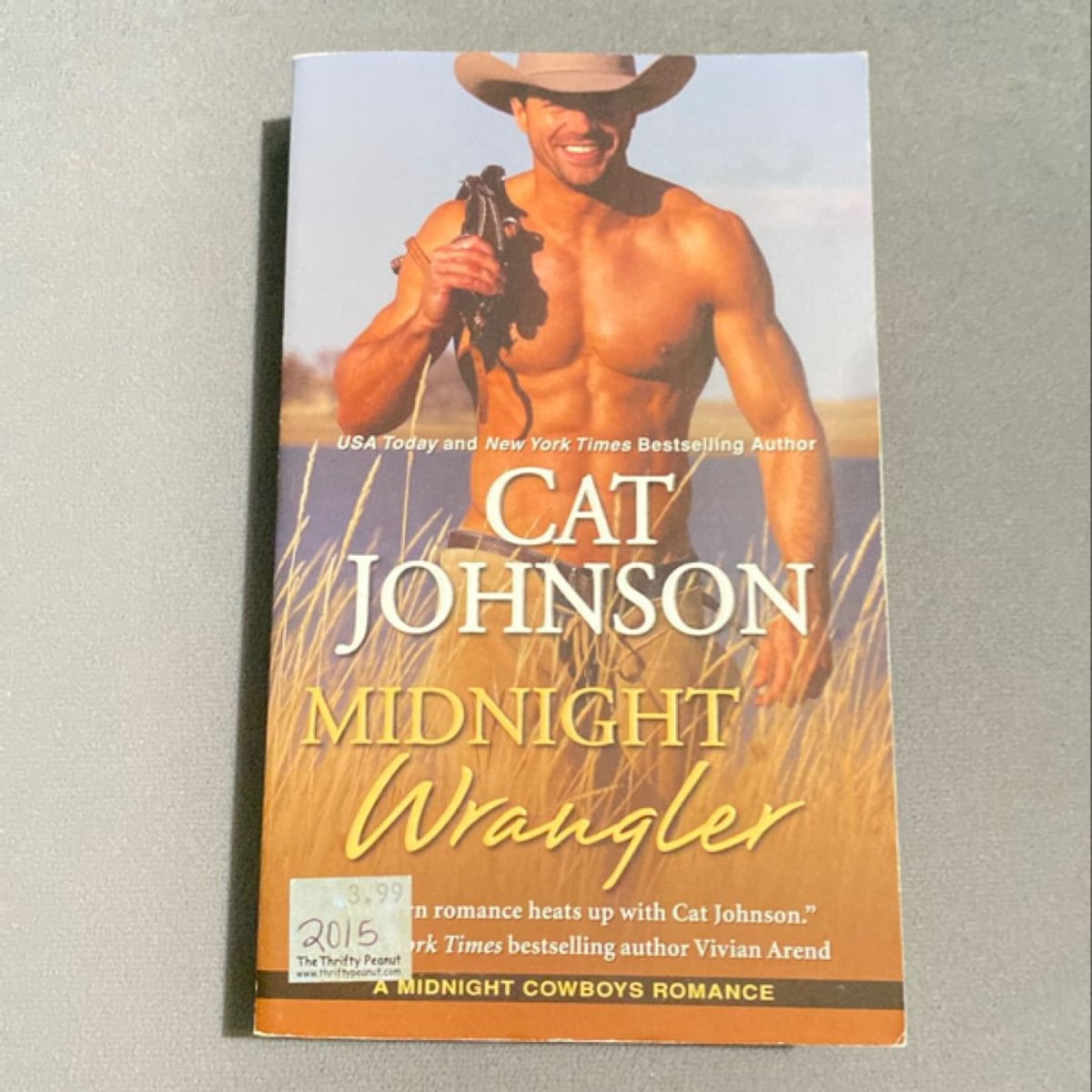 Midnight Wrangler by Cat Johnson