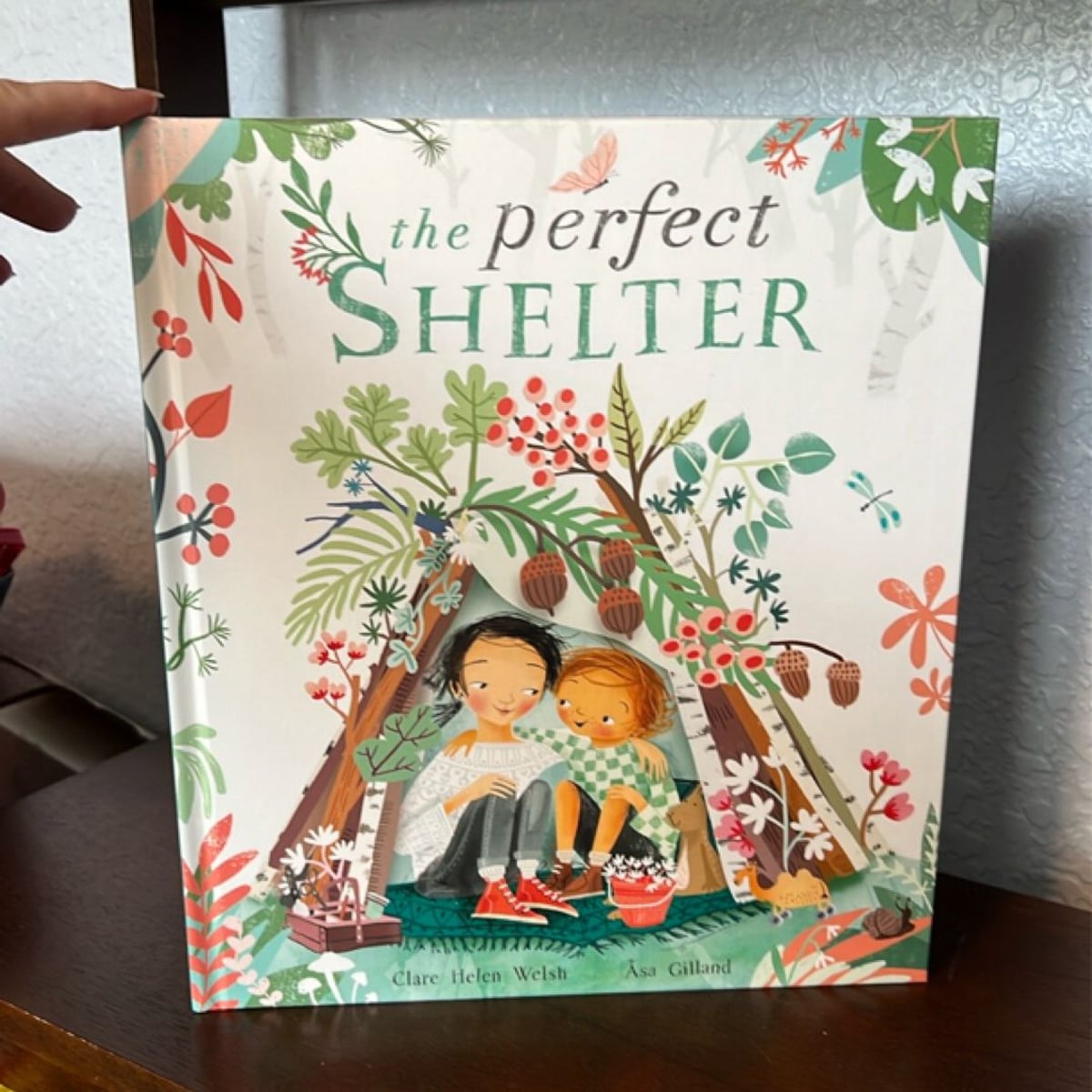 The Perfect Shelter by Clare Helen Welsh