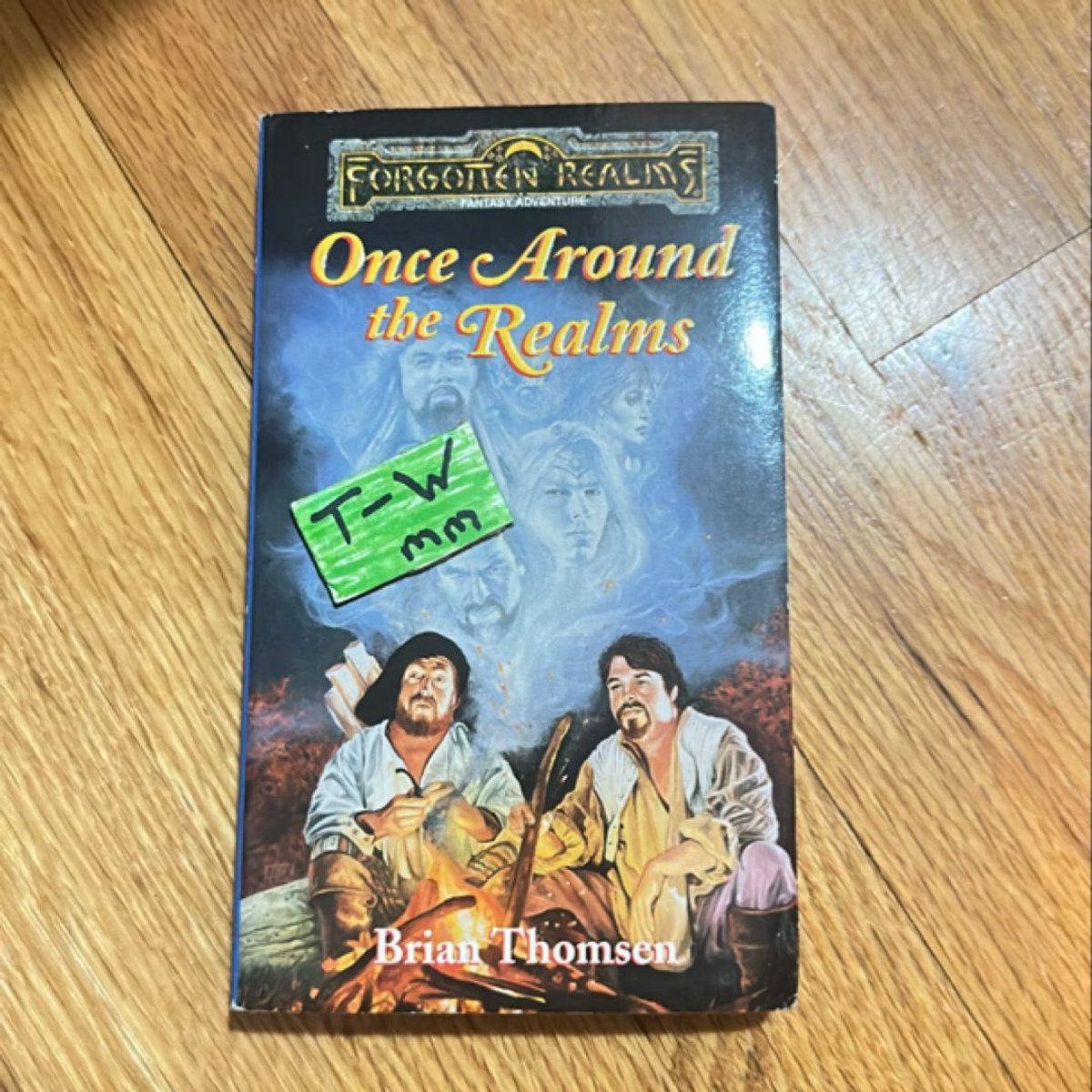Once Around the Realms by Brian Thomsen