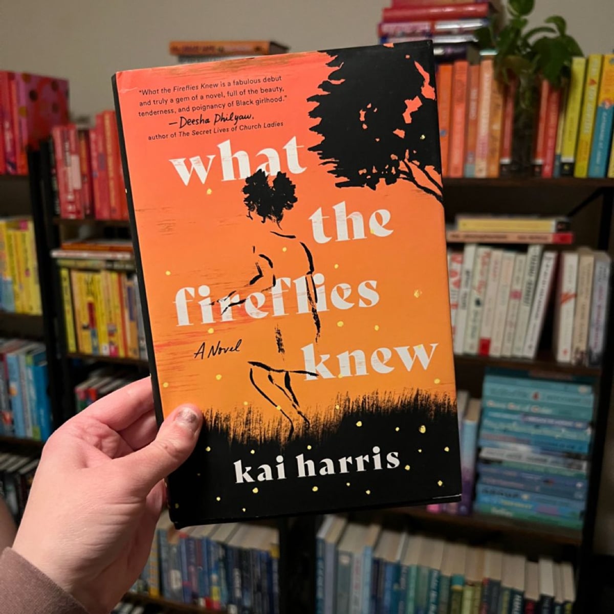 What the Fireflies Knew by Kai Harris