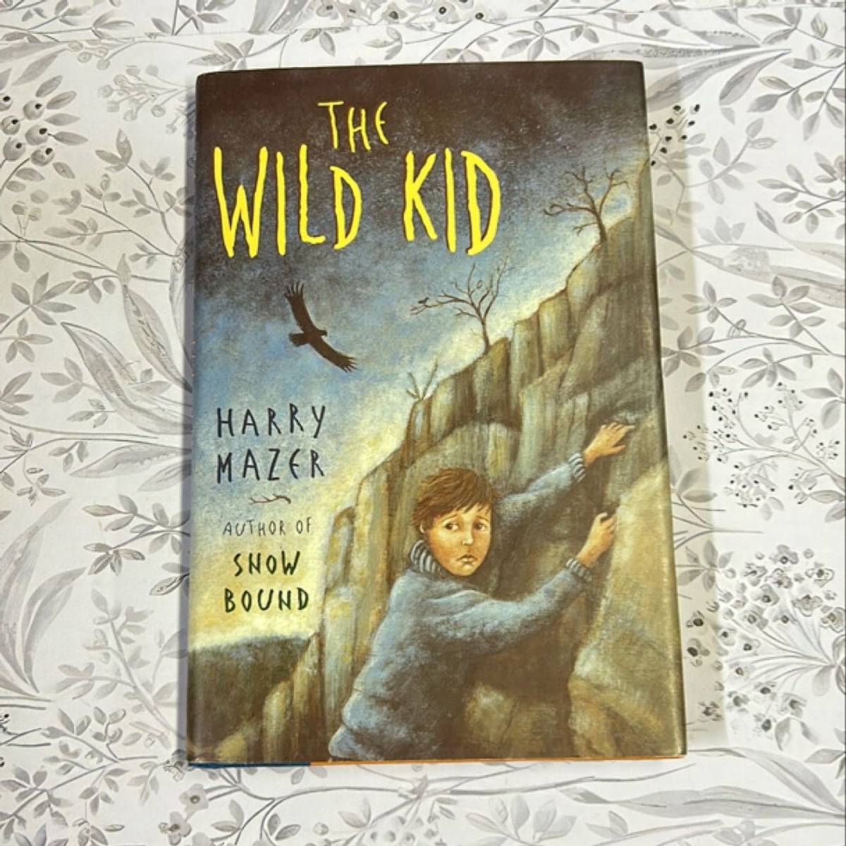 The Wild Kid by Harry Mazer