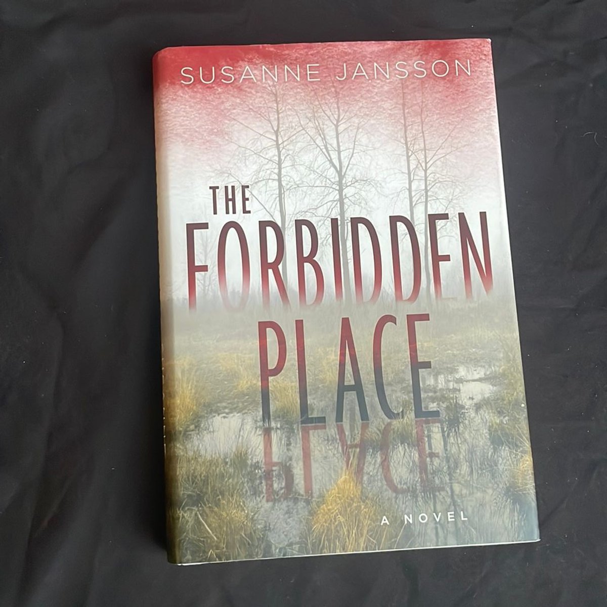 The Forbidden Place by Susanne Jansson