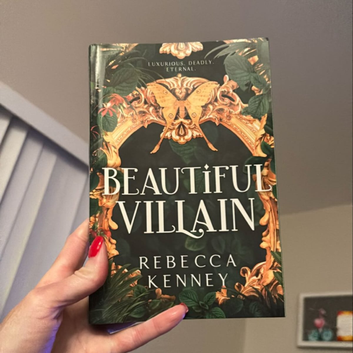 Beautiful Villain by Rebecca Kenney