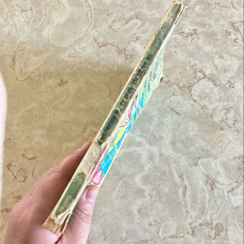 The Wonderful Flight of the Mushroom Planet by Eleanor Cameron ...