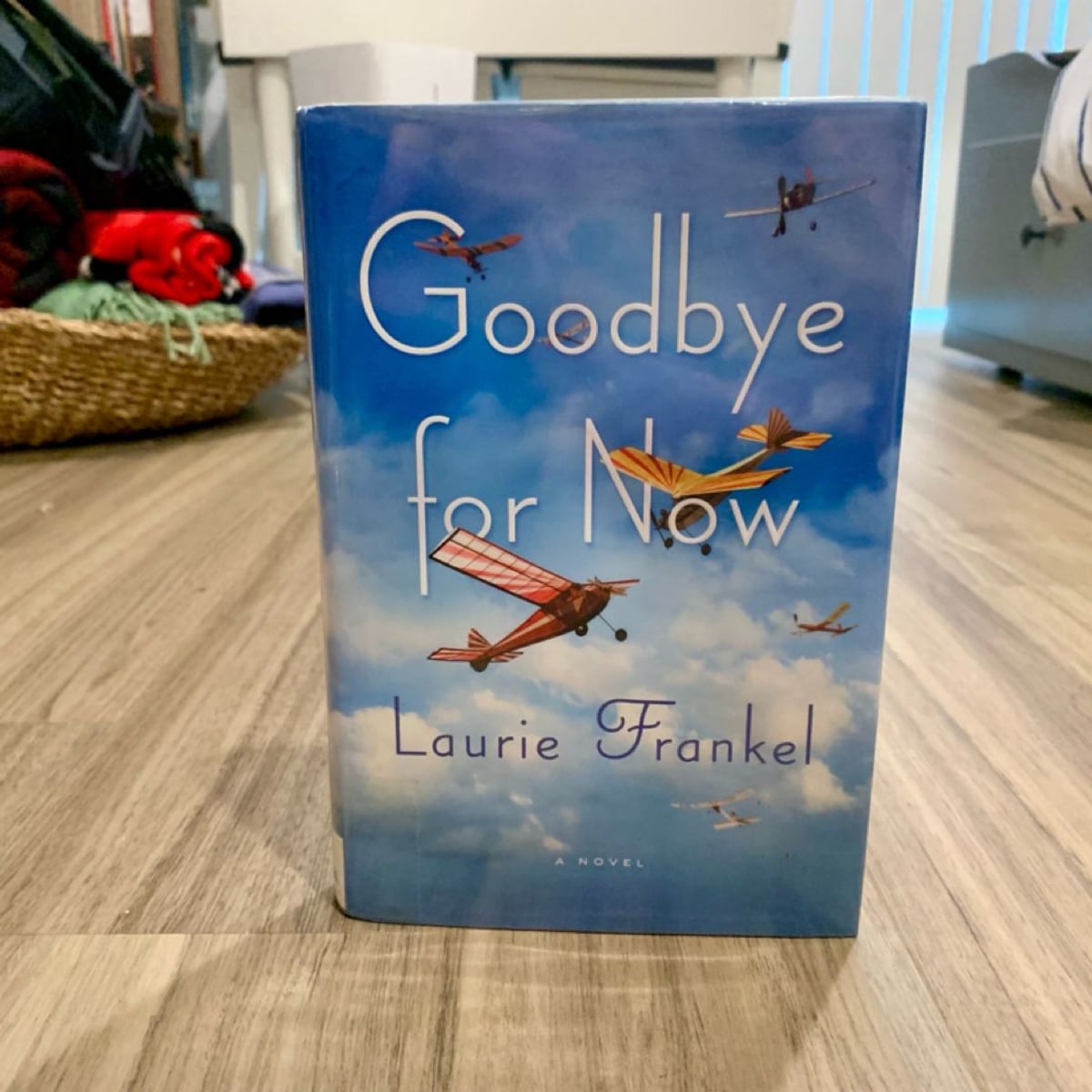 Goodbye for Now by Laurie Frankel