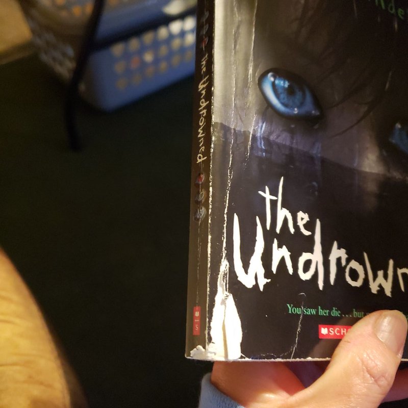 The Undrowned by K. R. Alexander, Paperback | Pangobooks
