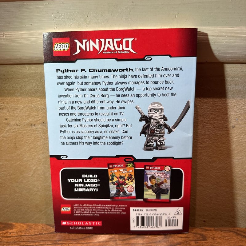 Legend of the Brown Ninja