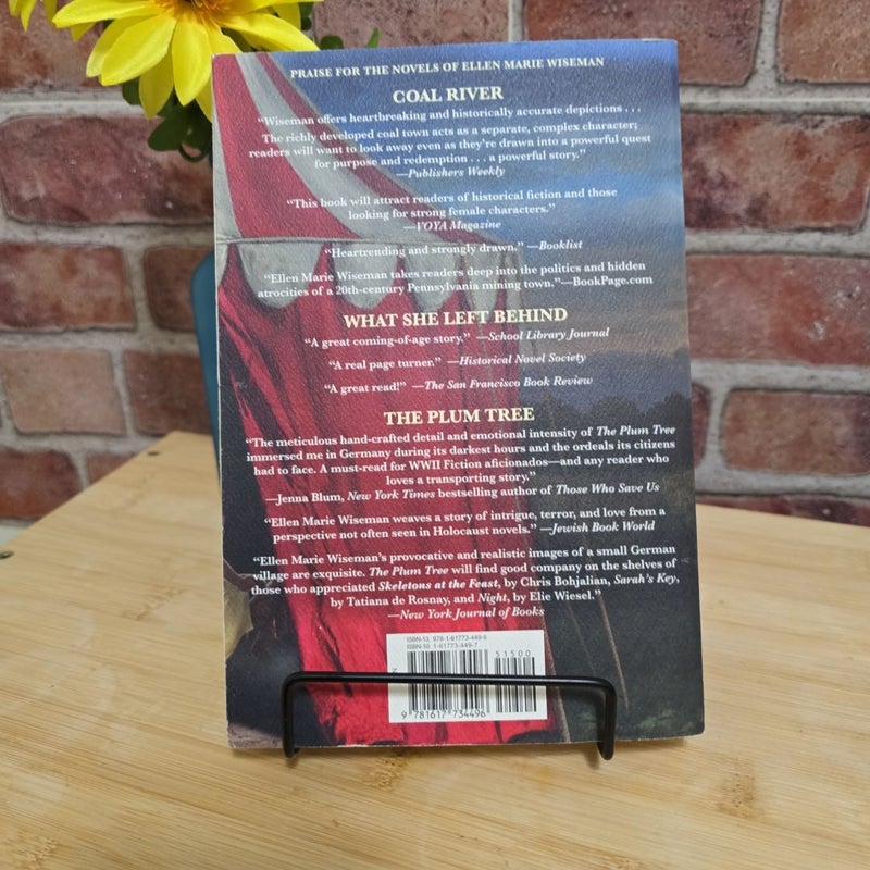 Life She Was Given The by Ellen Marie Wiseman