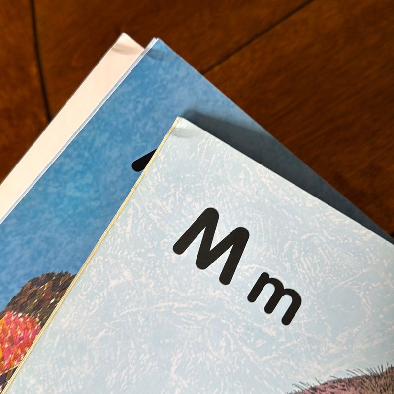 Amazing Animal Alphabet by Brian Wildsmith, Paperback | Pangobooks