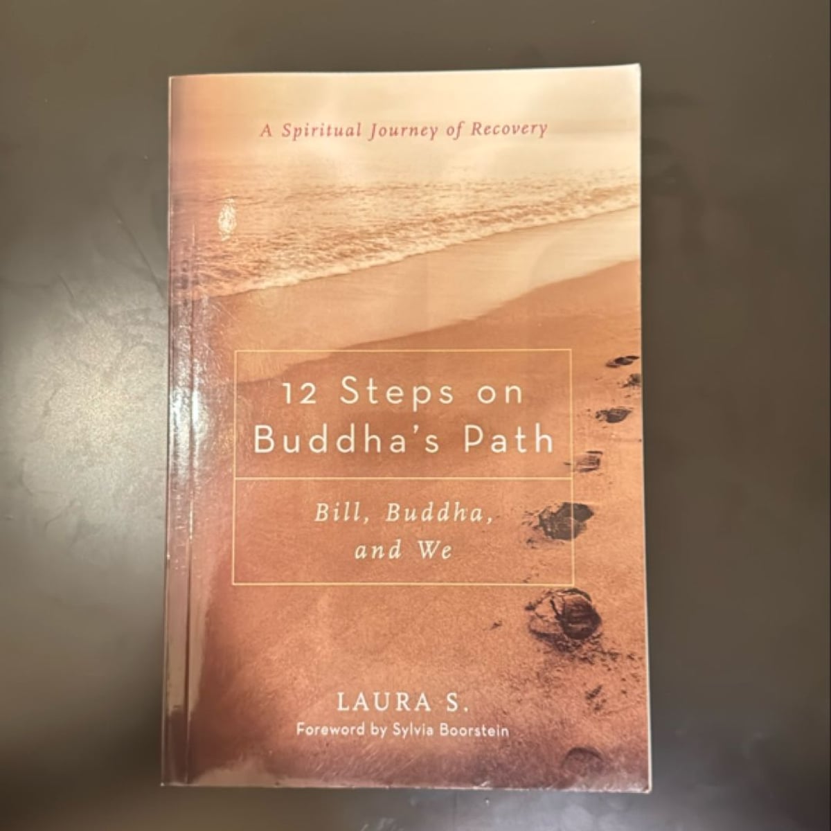 12 Steps on Buddha's Path by Sylvia Boorstein, Laura S.