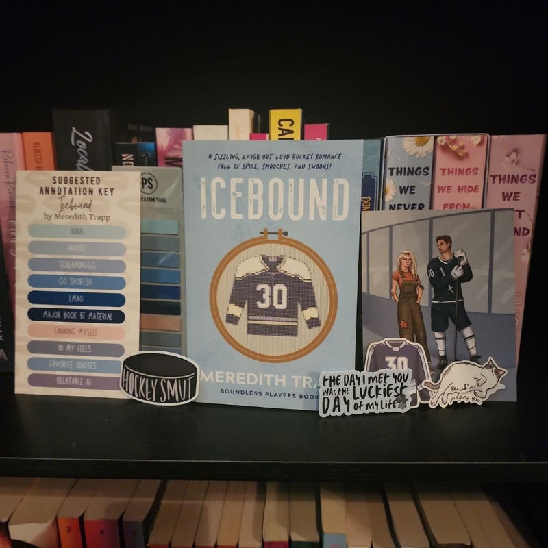 Ice Bound by Meredith Trapp, Paperback | Pangobooks