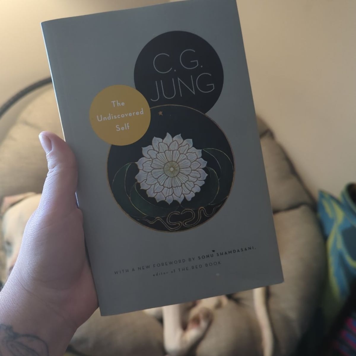 The Undiscovered Self by C. G. Jung, R. F. C. Hull, Sonu Shamdasani