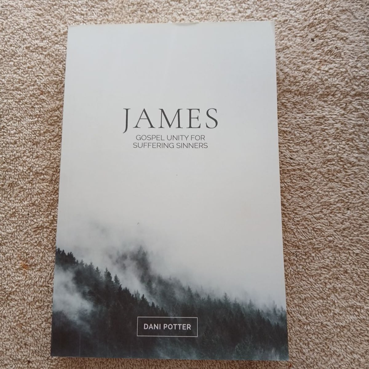 James by Dani Potter, Paperback | Pangobooks