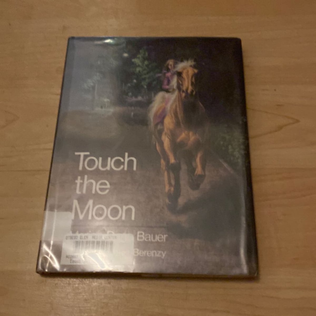 Touch the Moon by Marion Dane Bauer