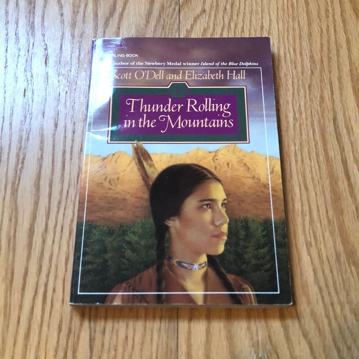 Thunder Rolling in the Mountains by Elizabeth Hall, Scott O'Dell