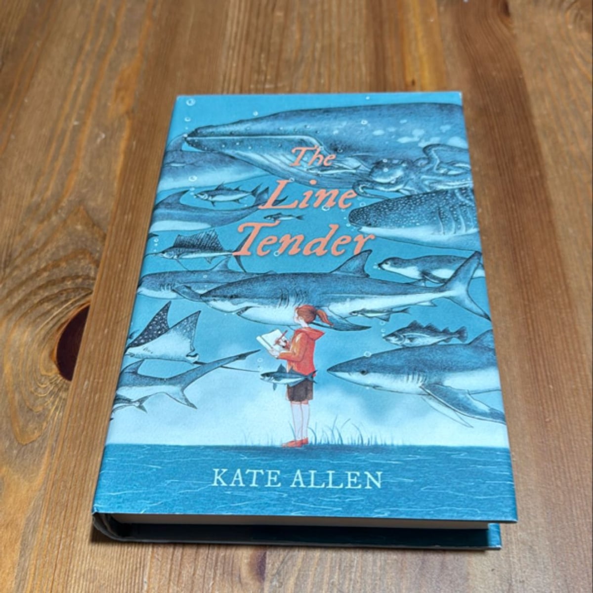 The Line Tender by Kate Allen