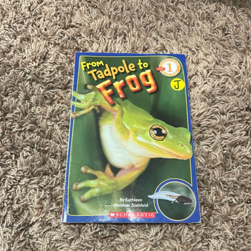 From Tadpole to Frog by Kathleen Weidner Zoehfeld