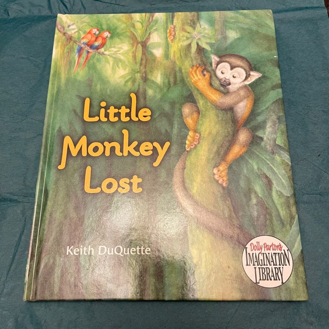 Little monkey lost by Keith Duquette, Hardcover | Pangobooks
