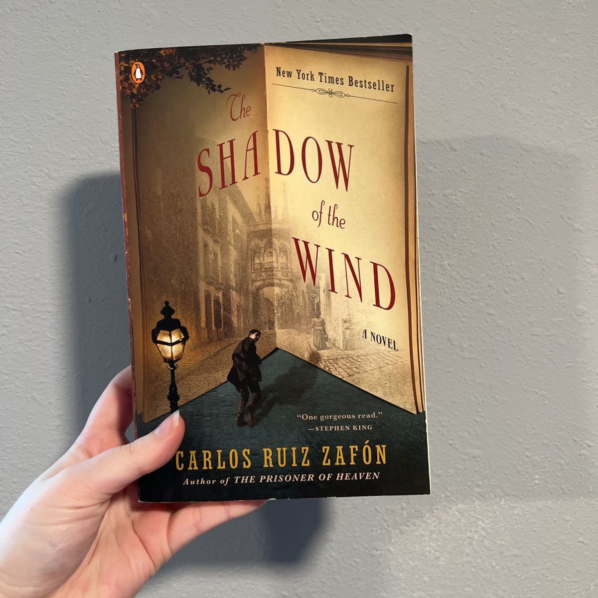 The Shadow of the Wind by Carlos Ruiz Zafon; Lucia Graves (Translator ...