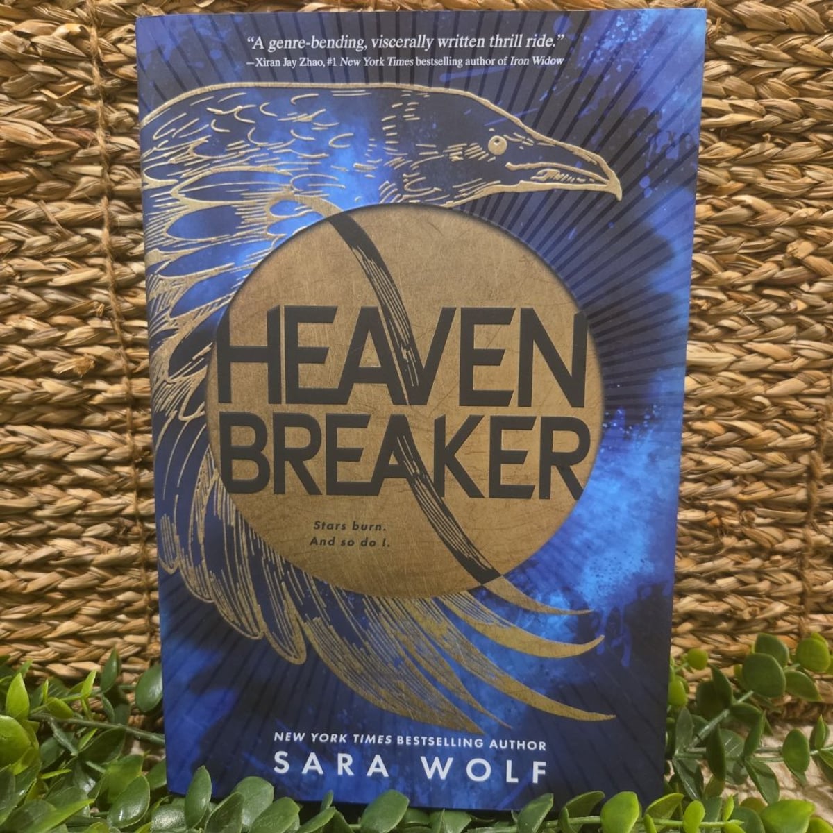 Heavenbreaker (Deluxe Limited Edition) by Sara Wolf, Hardcover | Pangobooks