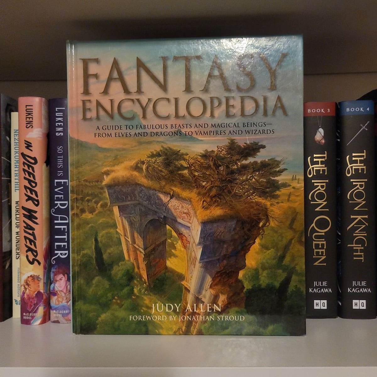 Fantasy Encyclopedia by Judy Allen, Hardcover | Pangobooks