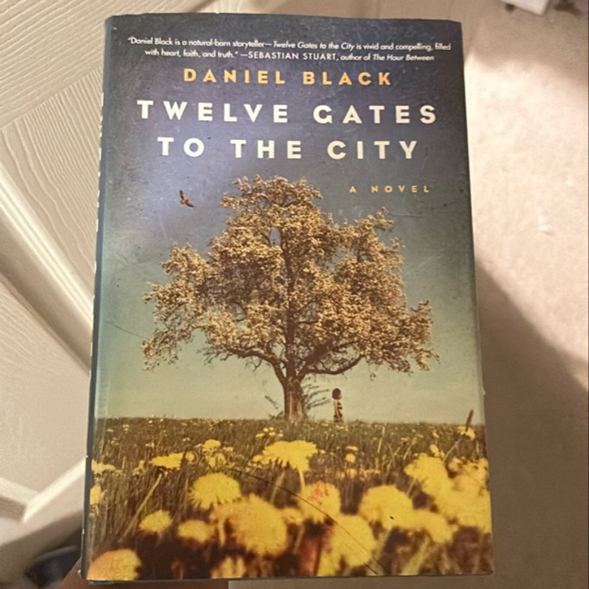 Twelve Gates to the City by Daniel Black