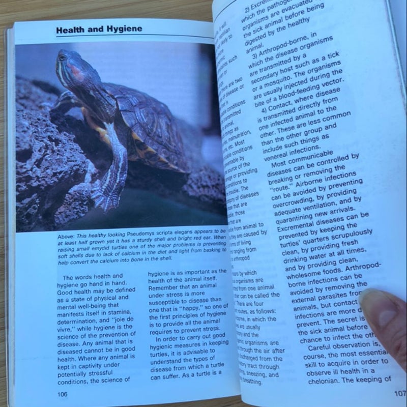 A Complete Introduction to Turtles and Terrapins by Jo Cobb