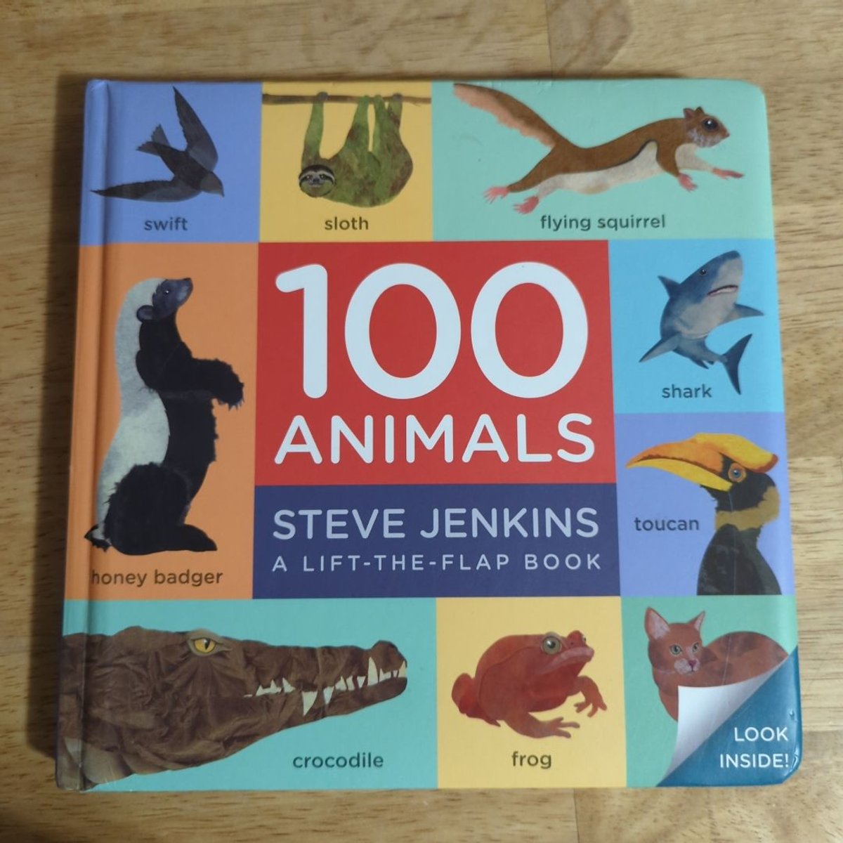 100 Animals Board Book: Lift-The-Flap by Steve Jenkins