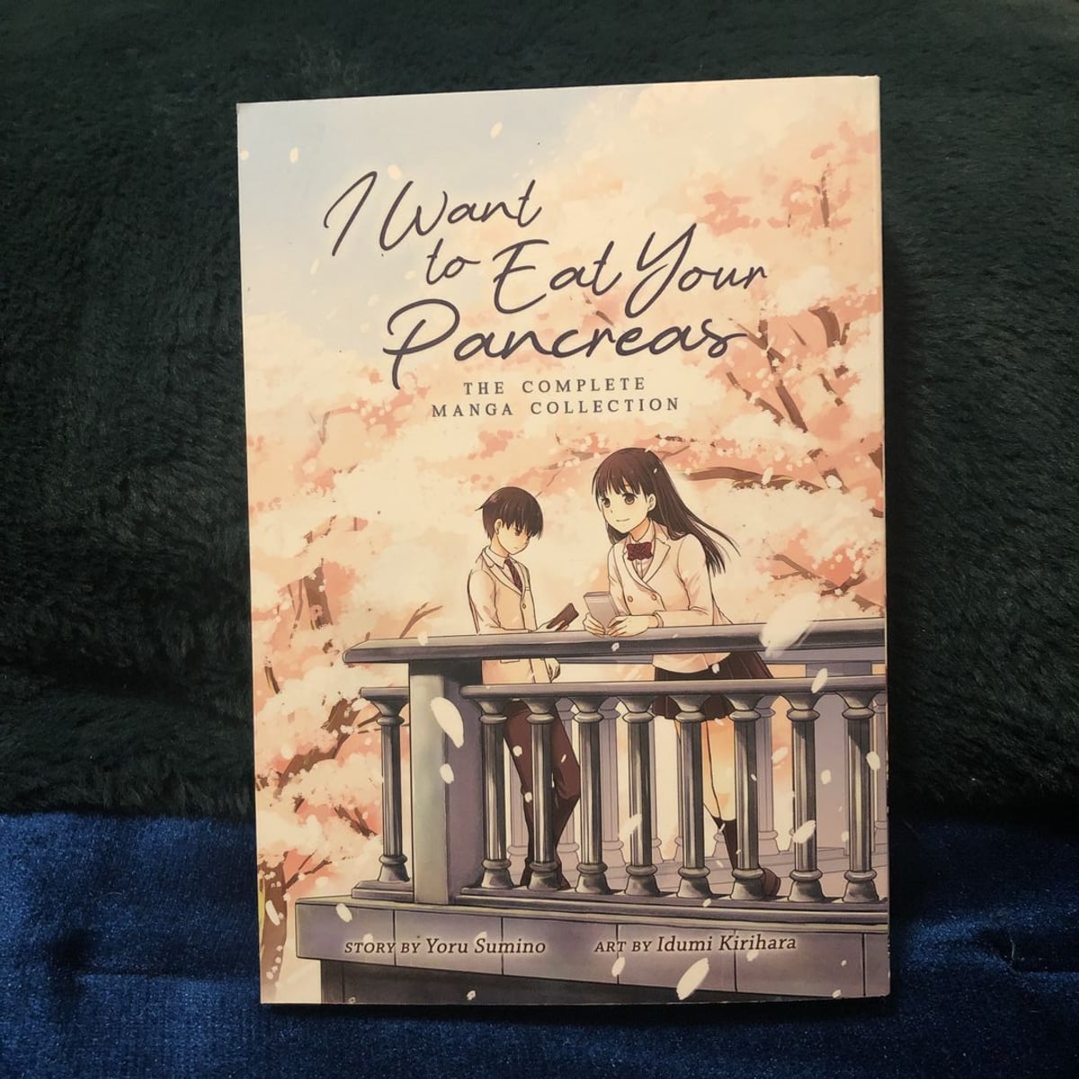 I Want to Eat Your Pancreas (Manga) by Yoru Sumino, Paperback | Pangobooks